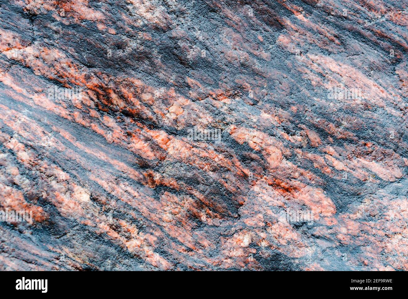 blue red background, panel texture, background fill Stock Photo - Alamy