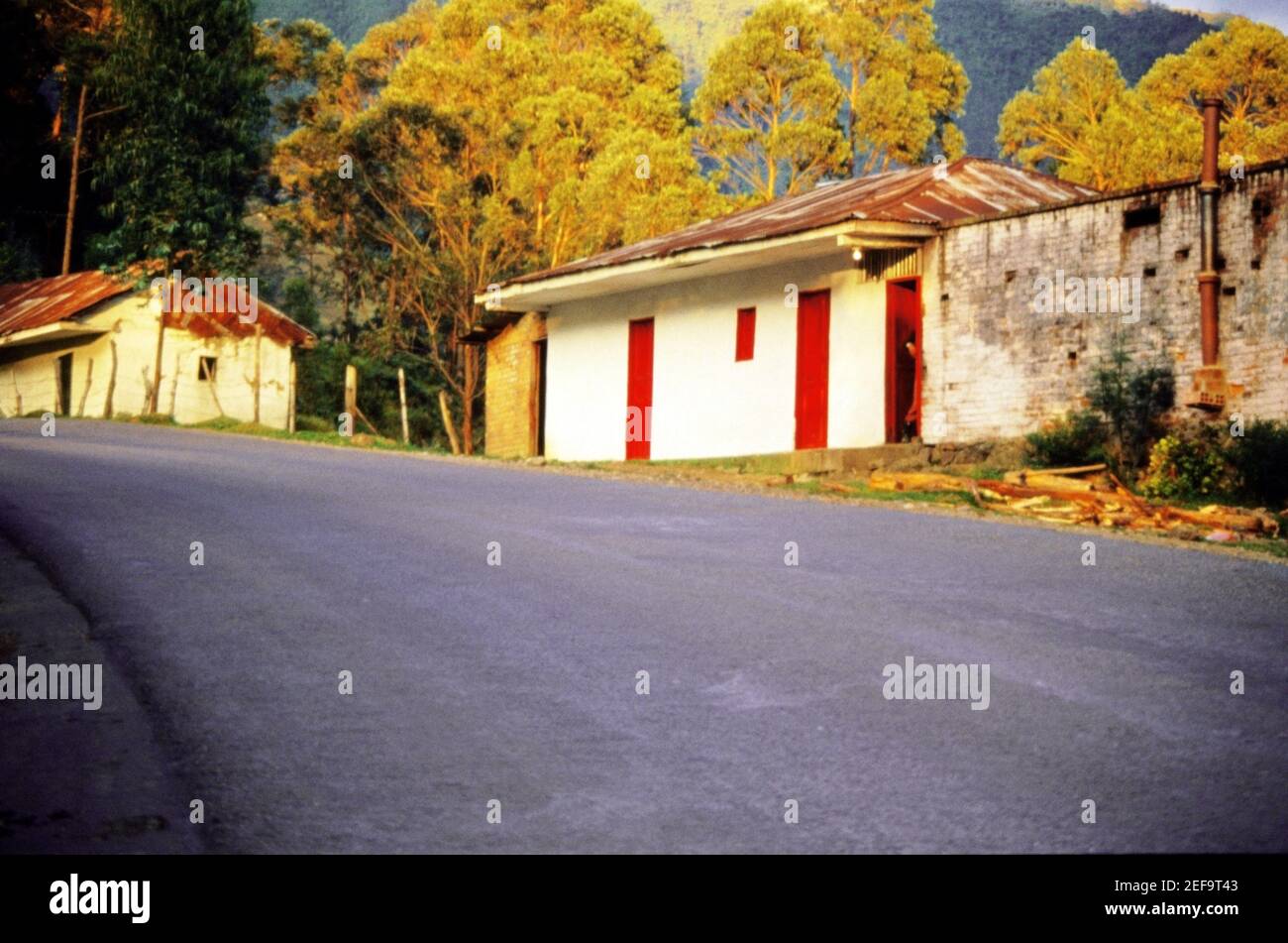Houses along a road Stock Photo - Alamy