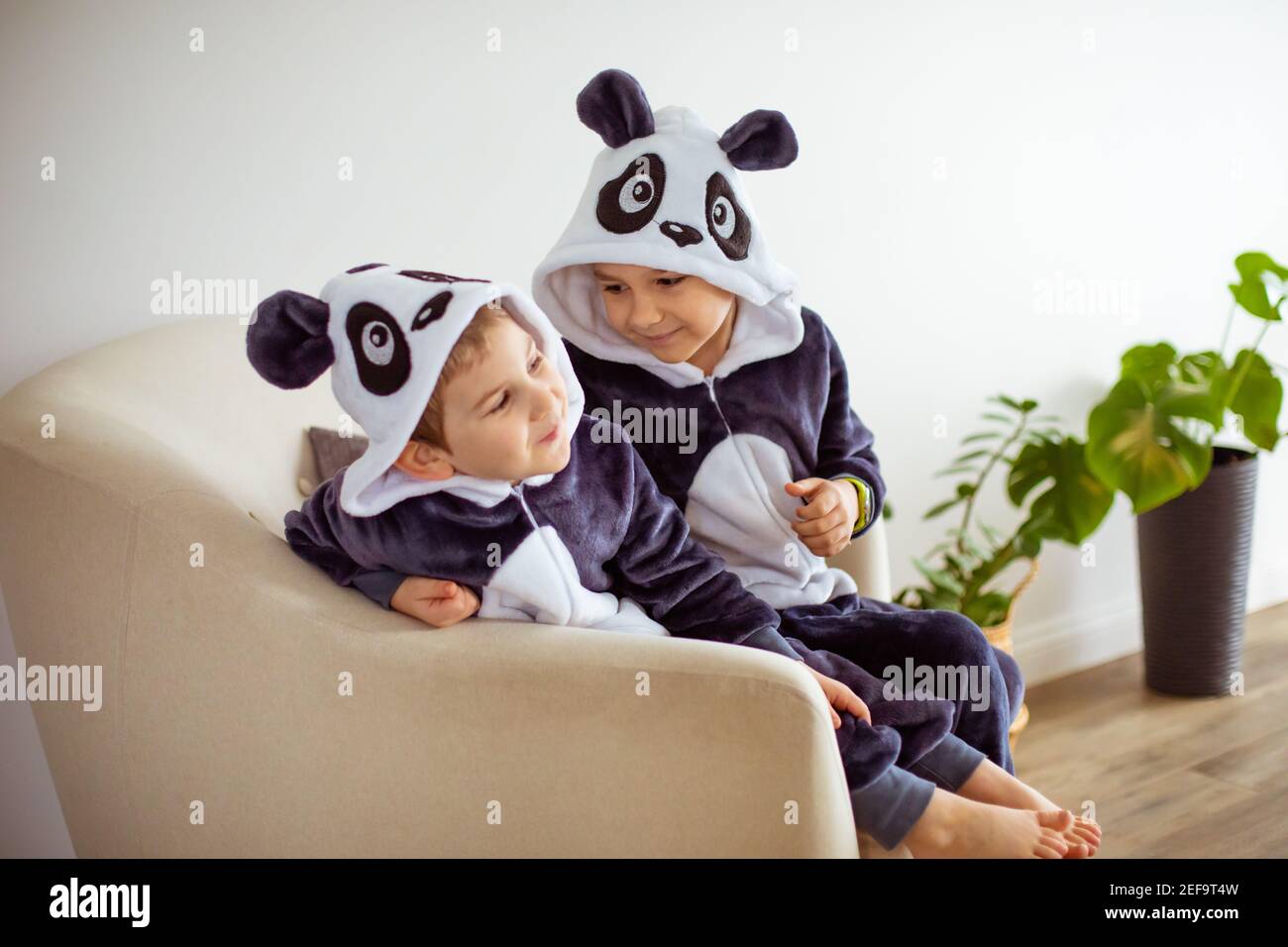 two cute little brothers in kigurumi of panda Stock Photo - Alamy