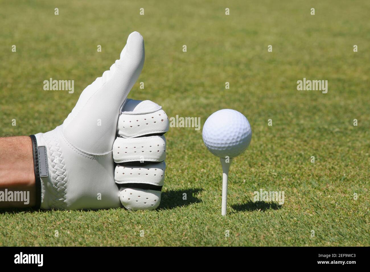 Ball of the thumb hi-res stock photography and images - Alamy