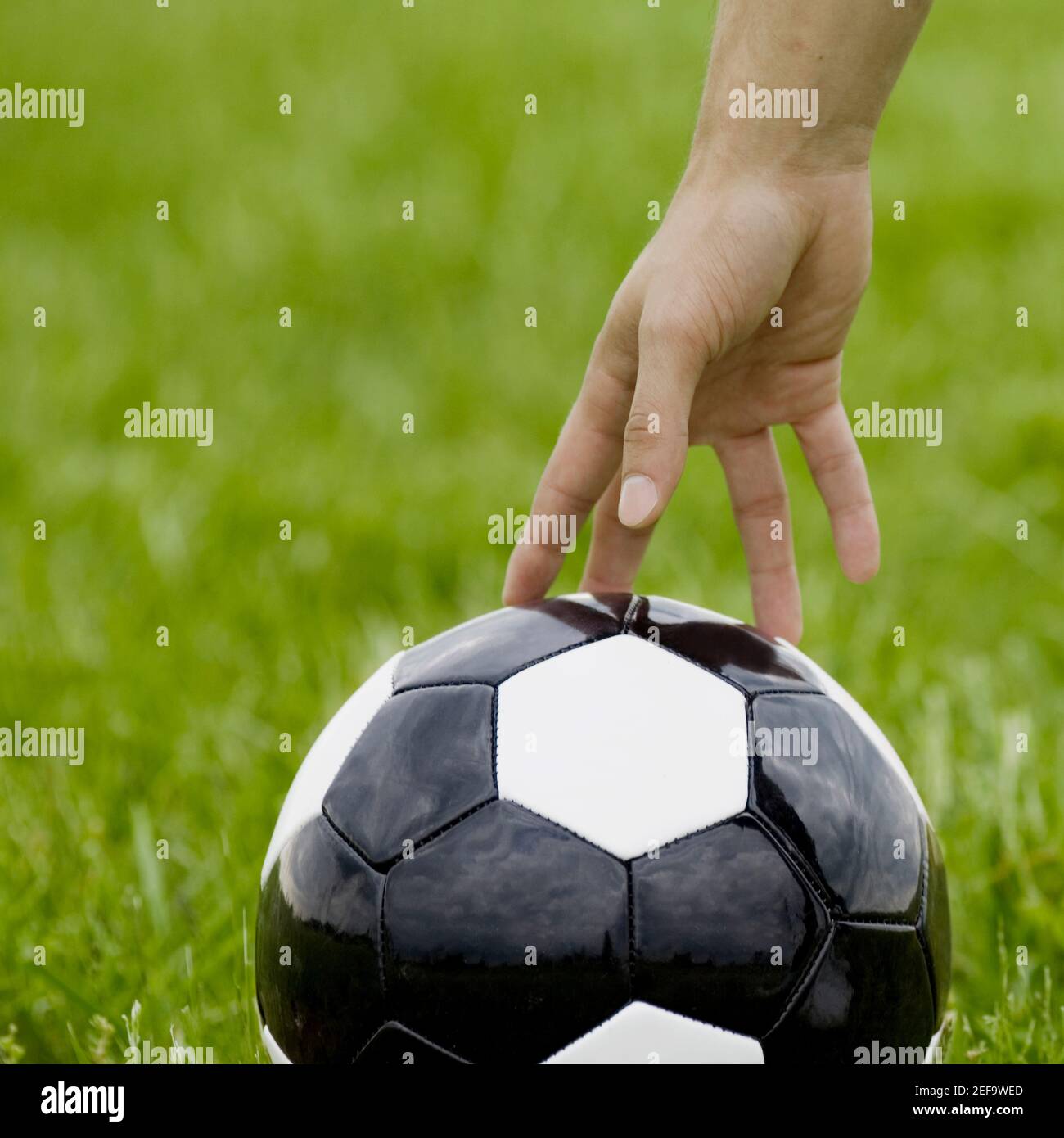 Dof hexagon hi-res stock photography and images - Alamy