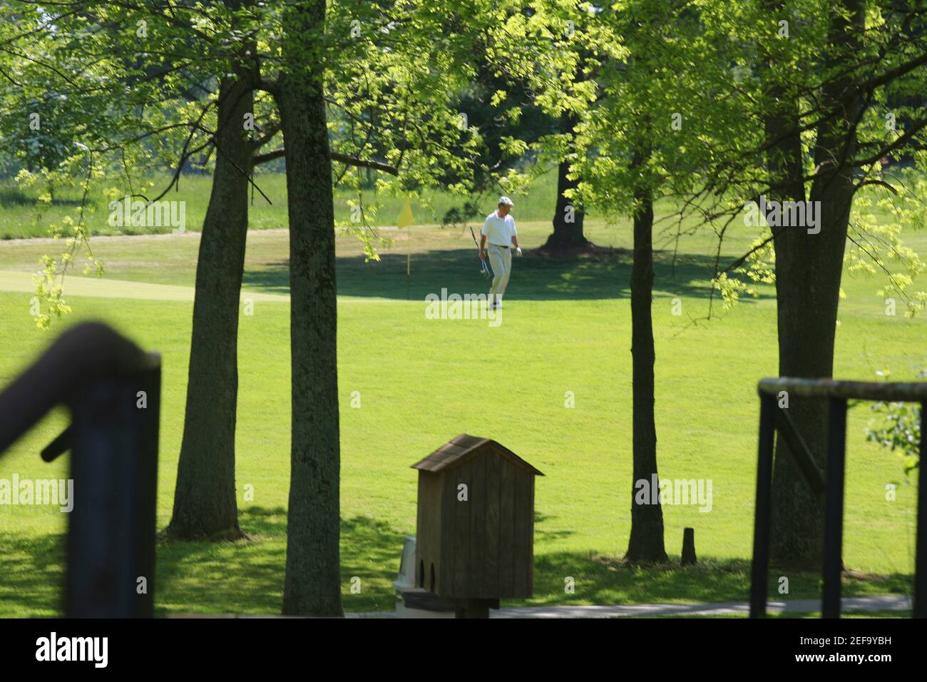 Man walking on a golf course Stock Photo - Alamy