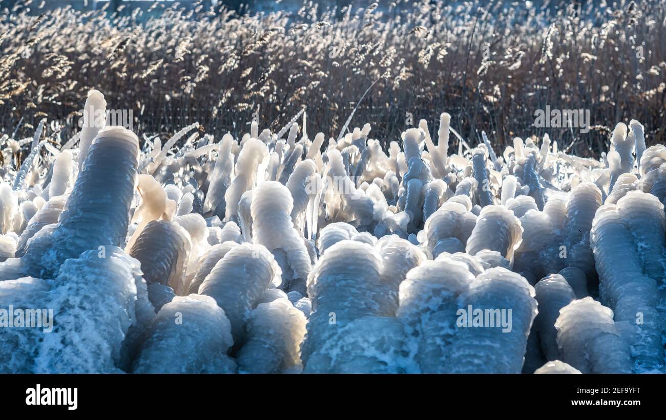 Winter Wonderland on frozen Neusiedlersee in Burgenland Austria Stock ...