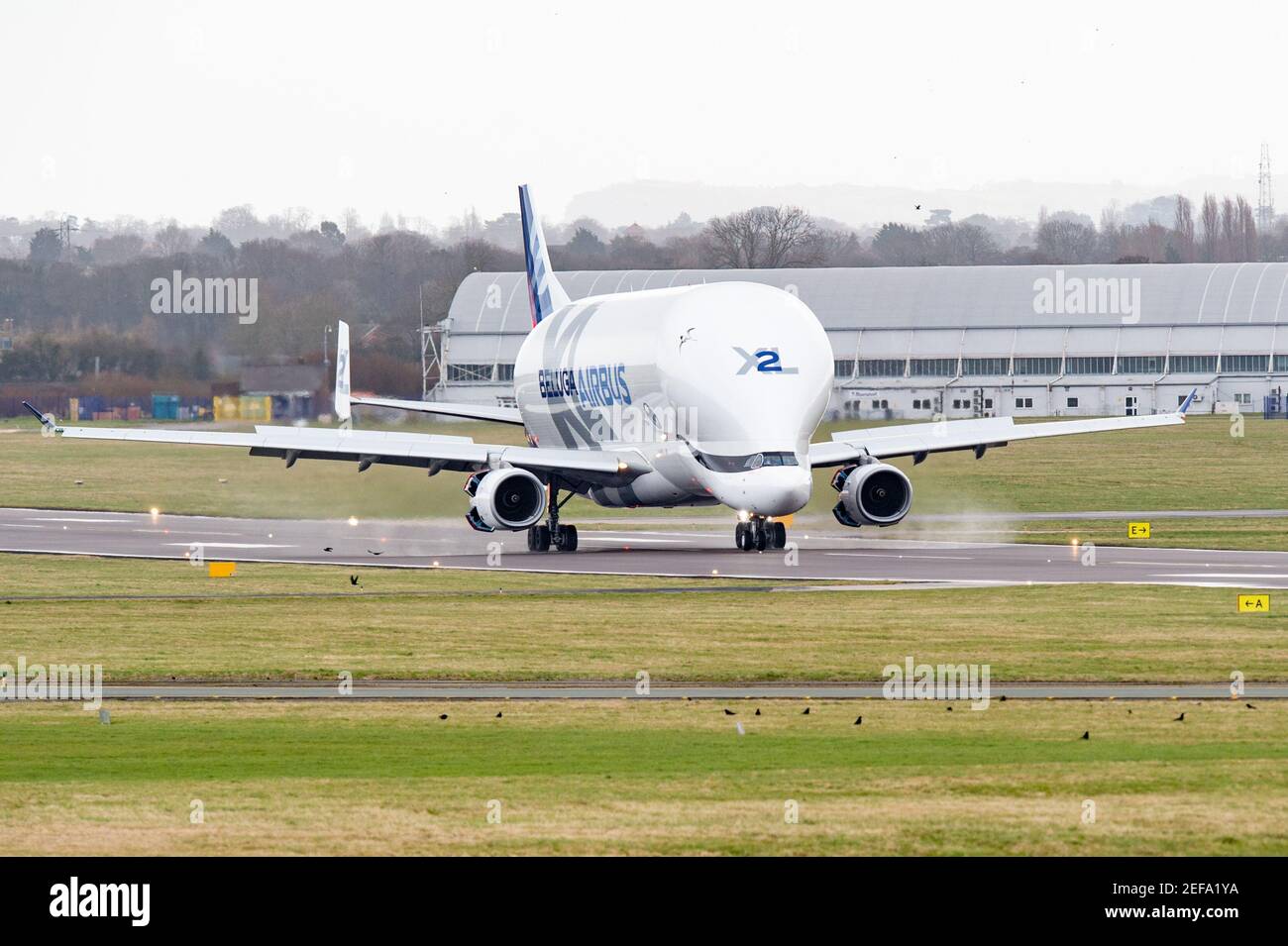 Saltney Ferry, UK. 17th Feb, 2021. Beluga XL2 comes in to land at ...