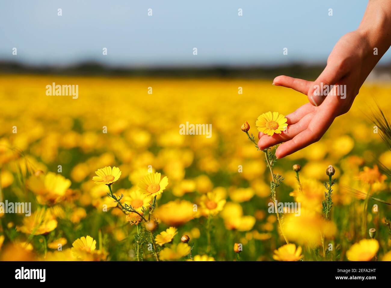 Crop hand touching hi-res stock photography and images - Alamy