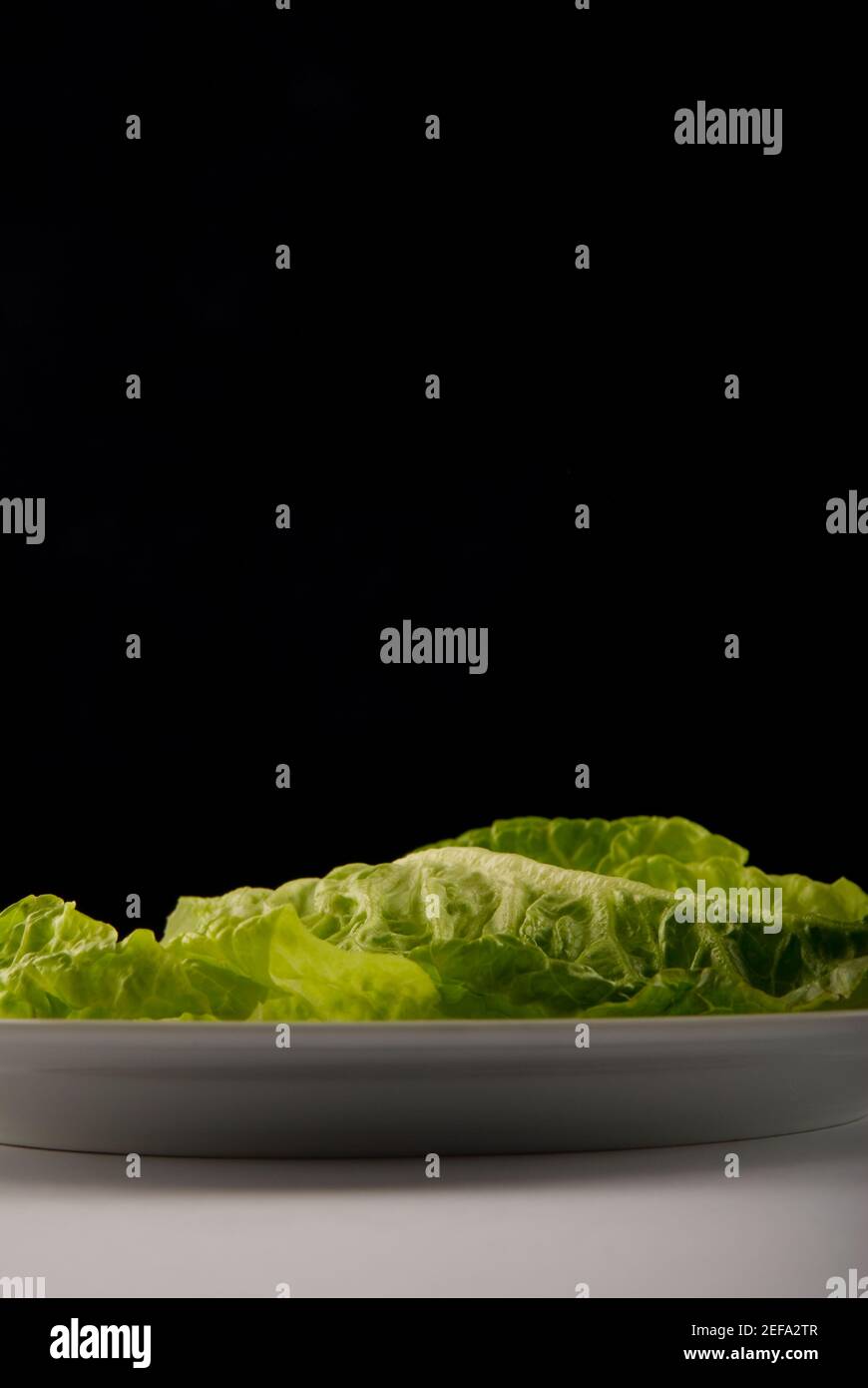 Lettuce in a plate hi-res stock photography and images - Alamy