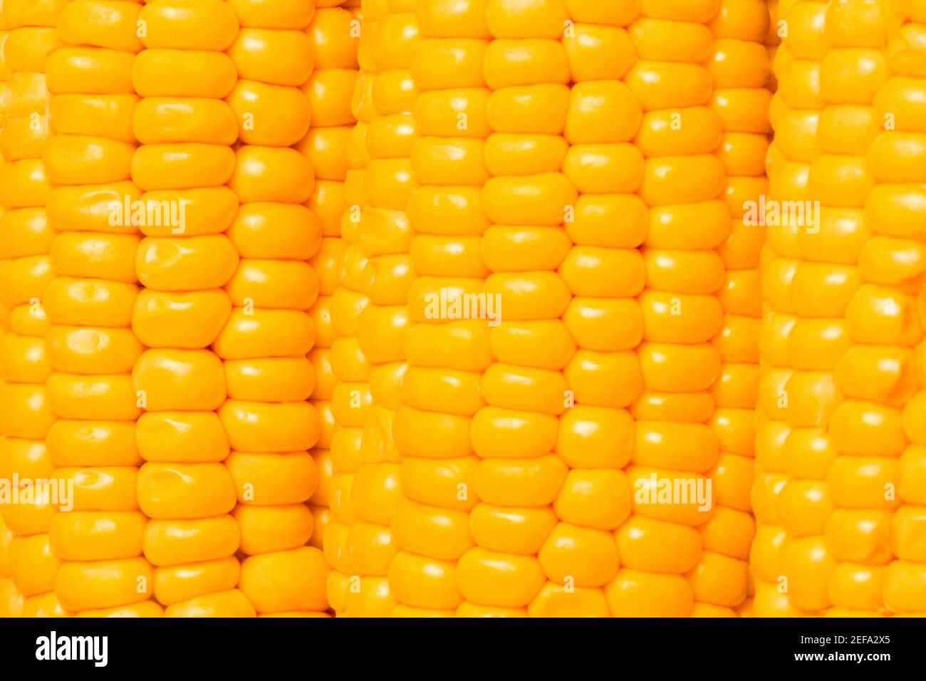 Three corn on the cob hi-res stock photography and images - Alamy