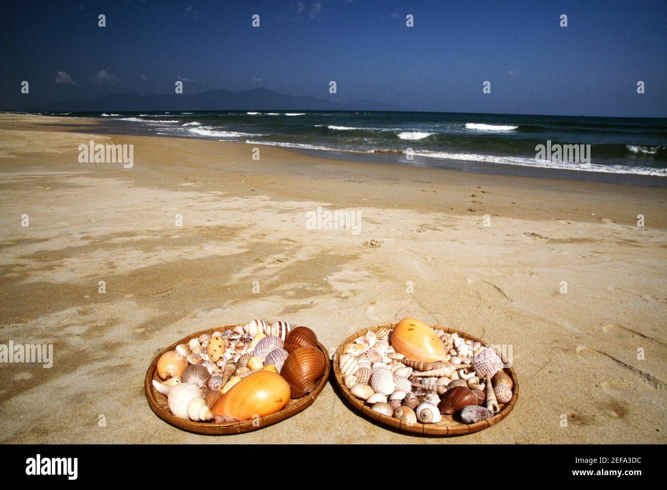 Sea shells on China Beach, Danang, Vietnam Stock Photo - Alamy