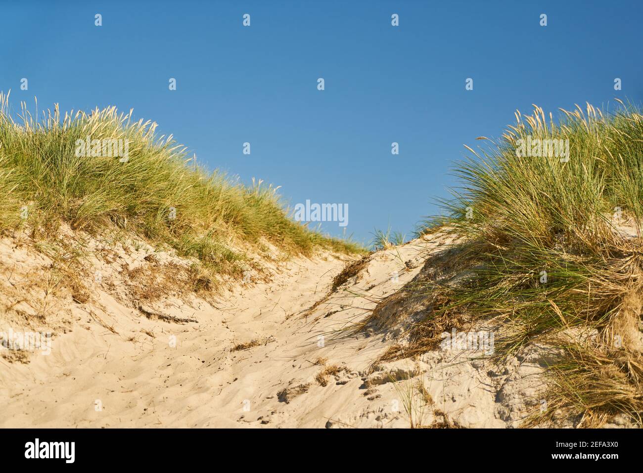 Dune landscape between beach hi-res stock photography and images - Alamy