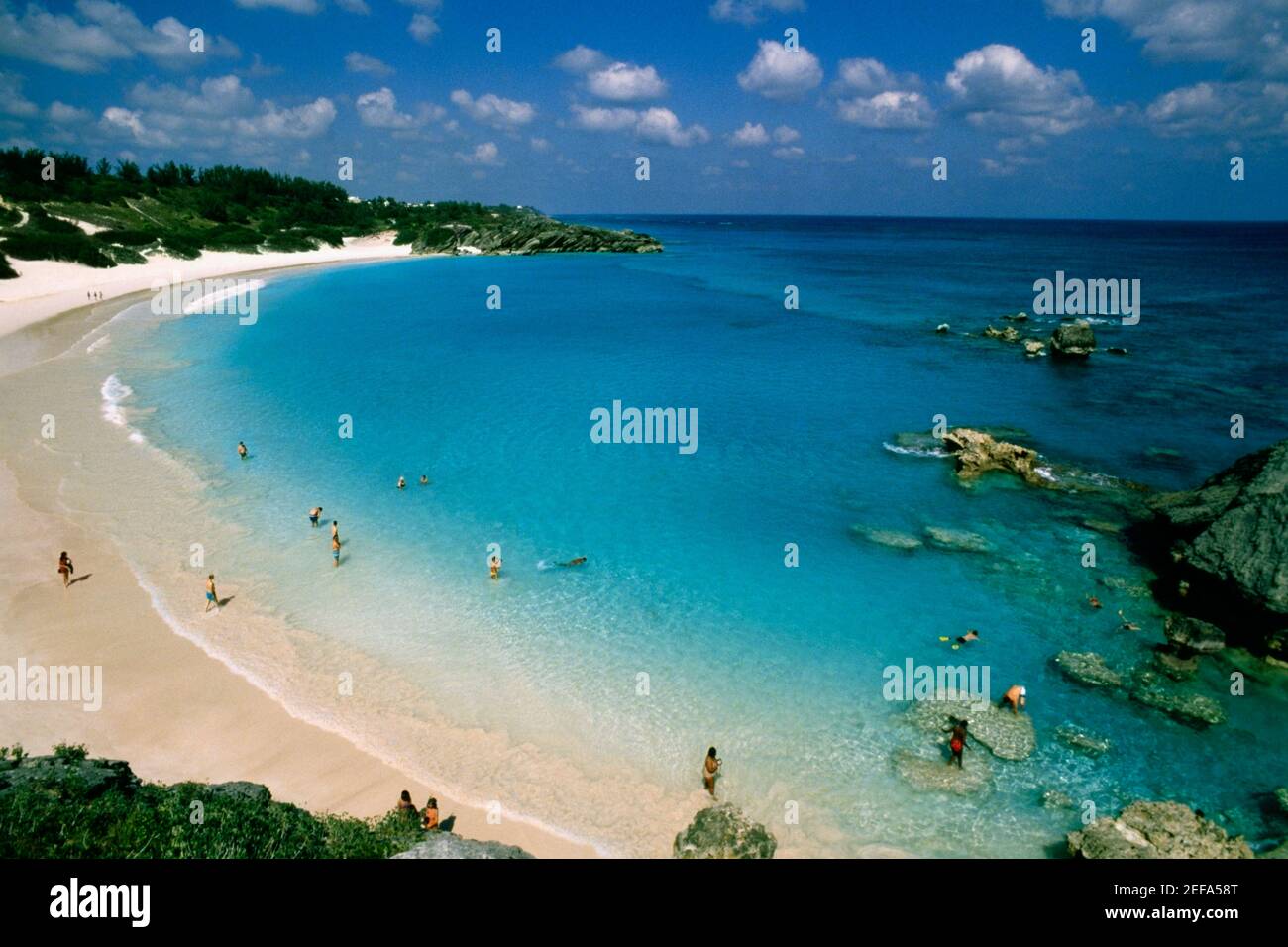 Aerial view of people at Horseshoe bay beach, Bermuda Stock Photo - Alamy