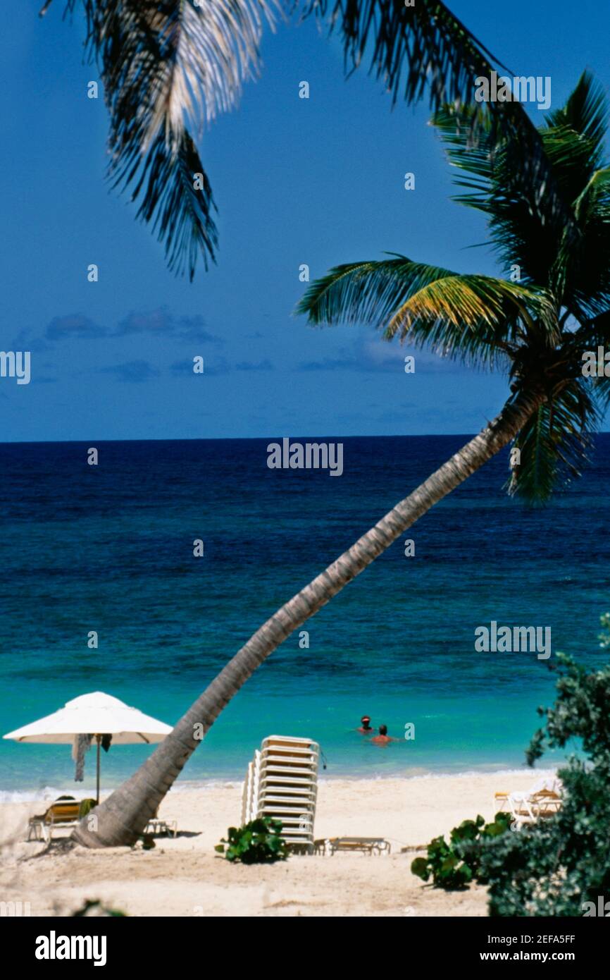 Carib hi-res stock photography and images - Alamy