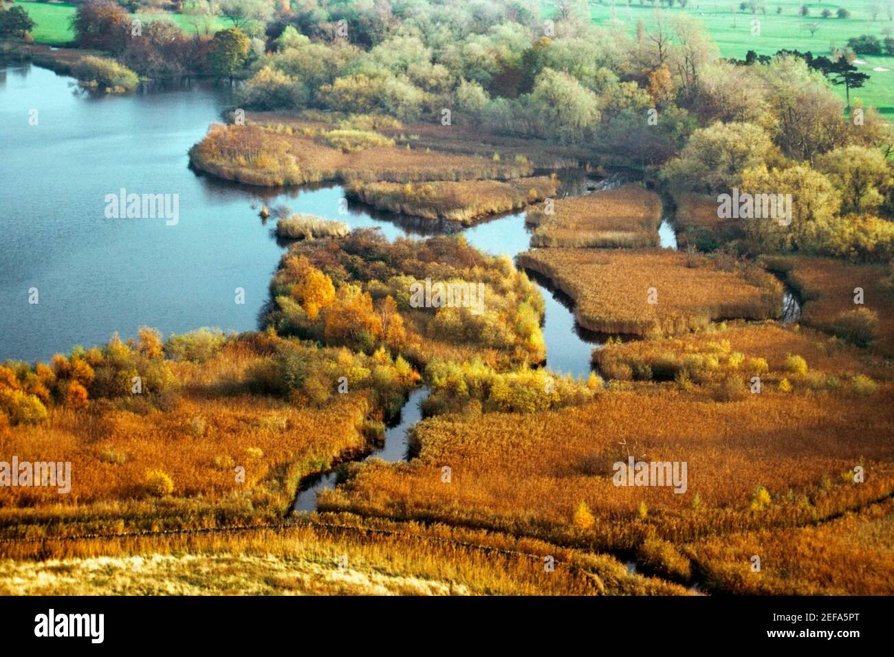 Bog body hi-res stock photography and images - Alamy