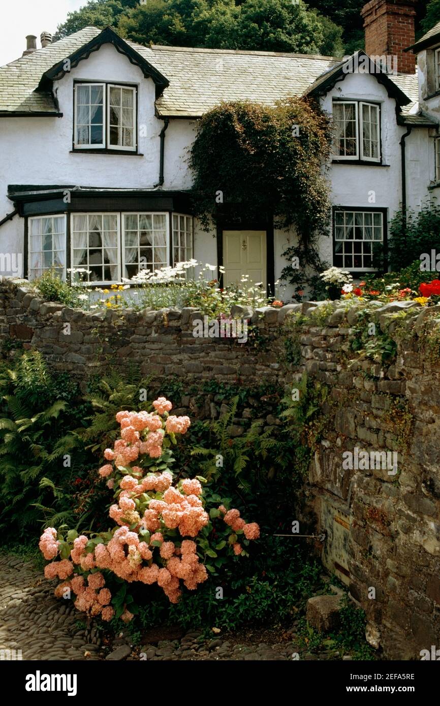 Side view of a house with a garden in its front, England Stock Photo ...