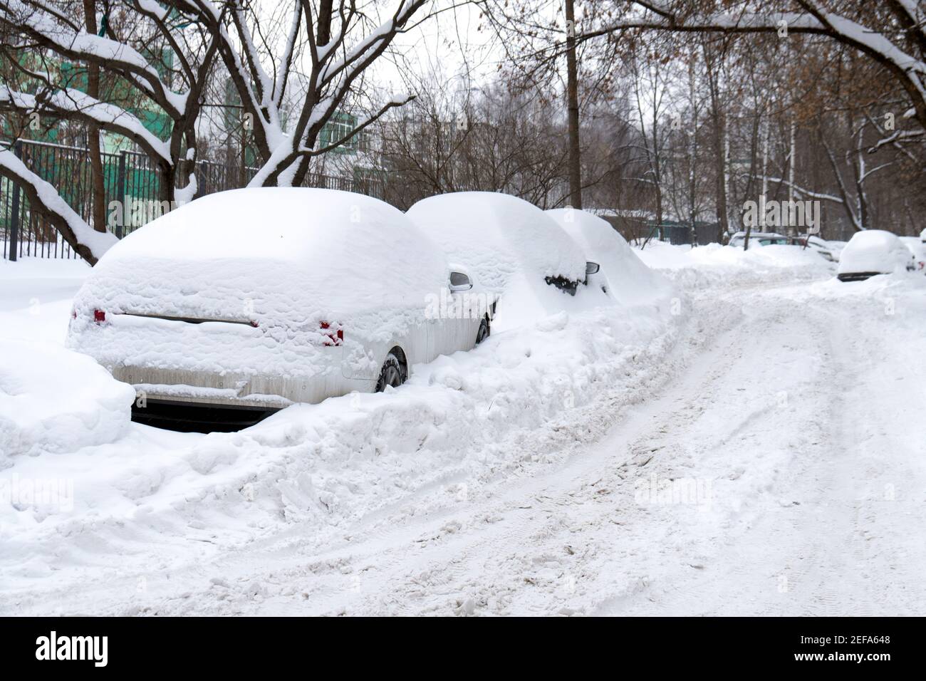 Cars covered with snow after a hard blizzard on the roadside of a ...