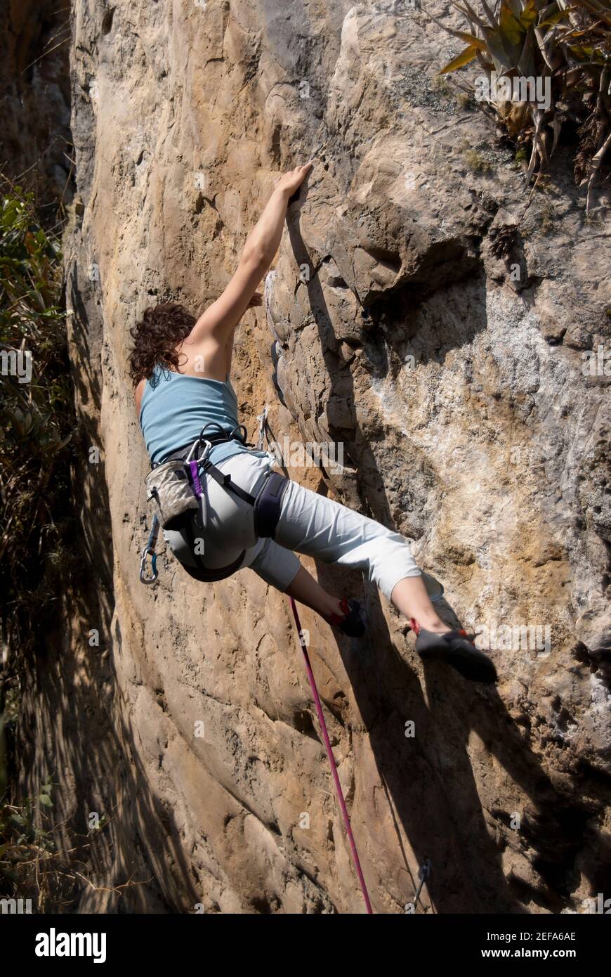 Low angle view of a female rock climber scaling a rock face Stock Photo ...