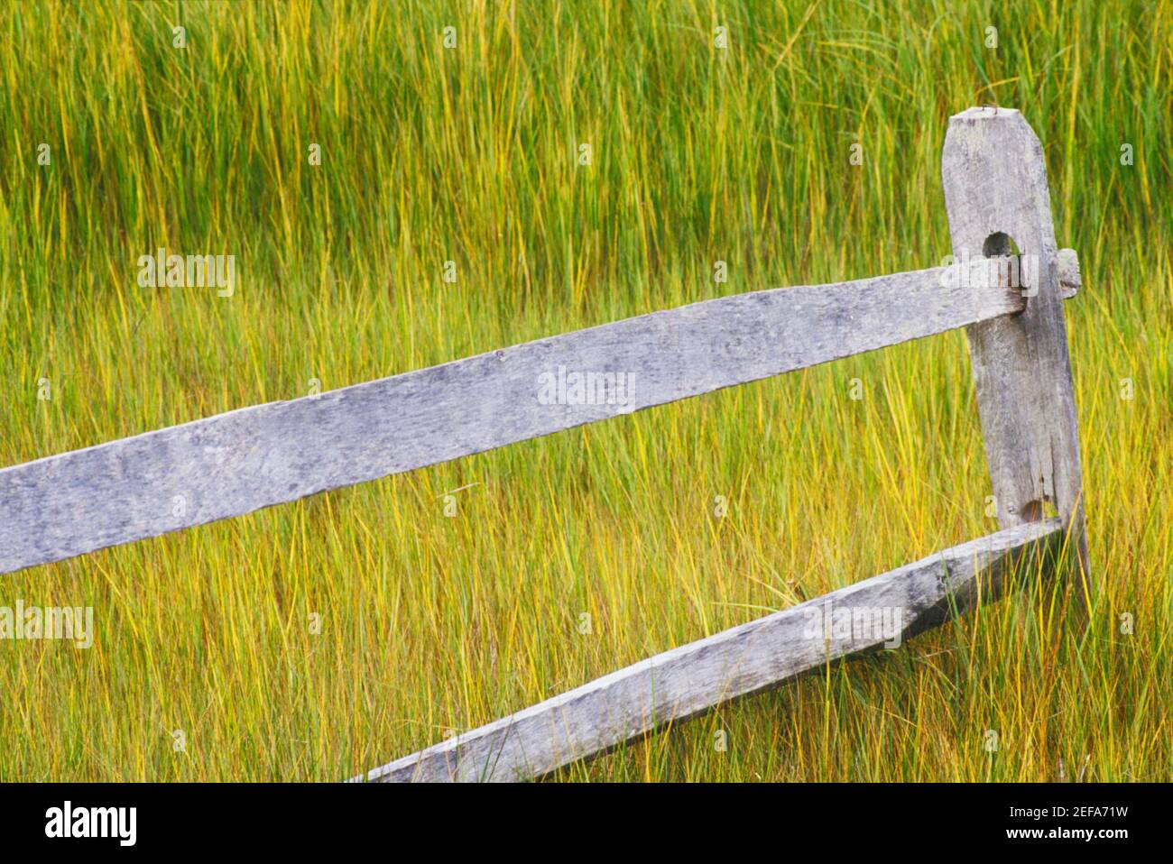 Wooden fence in a field, Cape Cod, Massachusetts, USA Stock Photo - Alamy