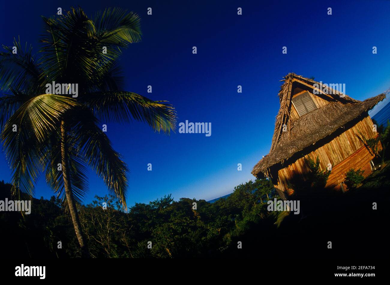 Palm tree and a hut on the beach, Caribbean Stock Photo - Alamy