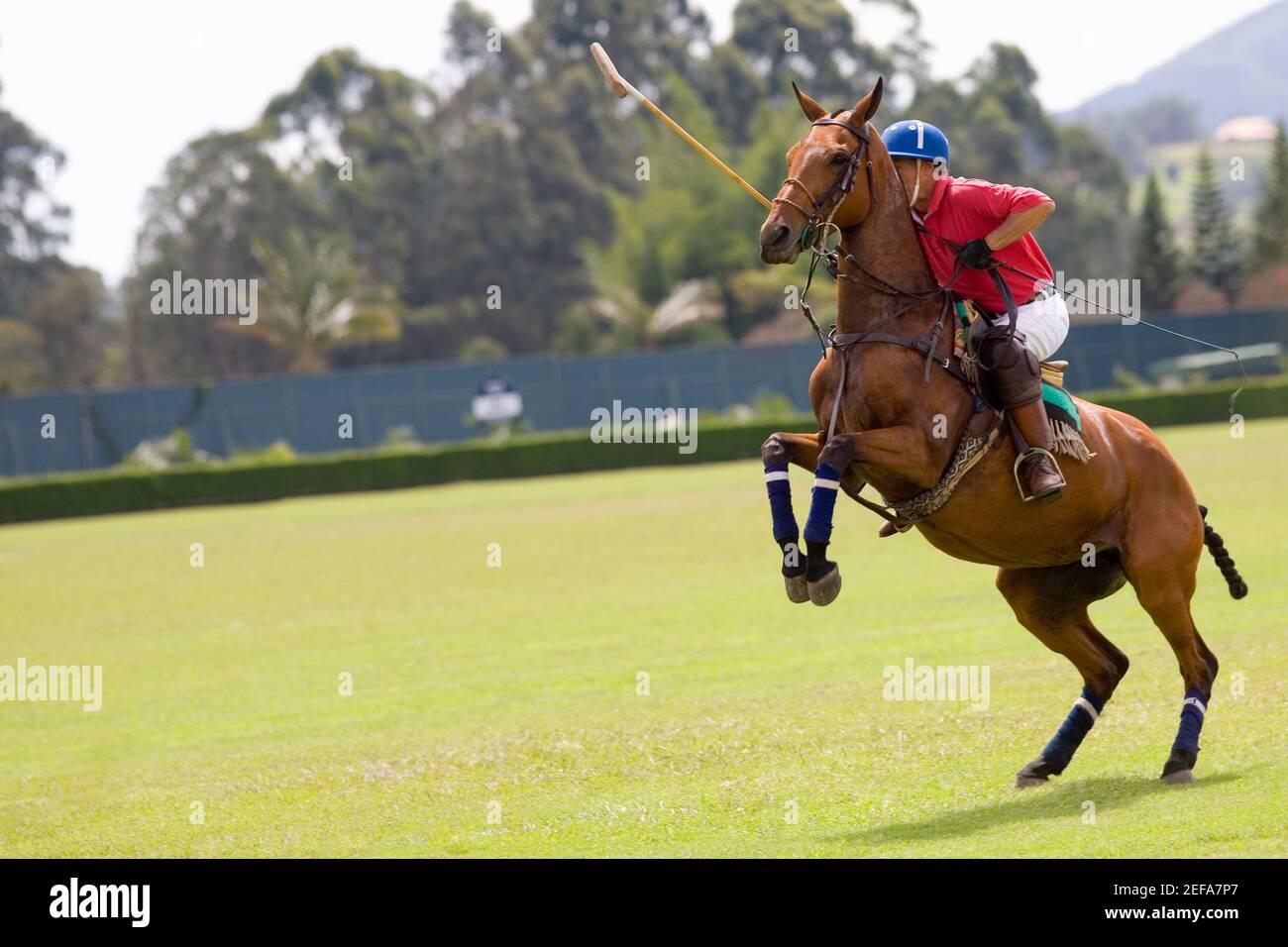 American polo field hi-res stock photography and images - Alamy