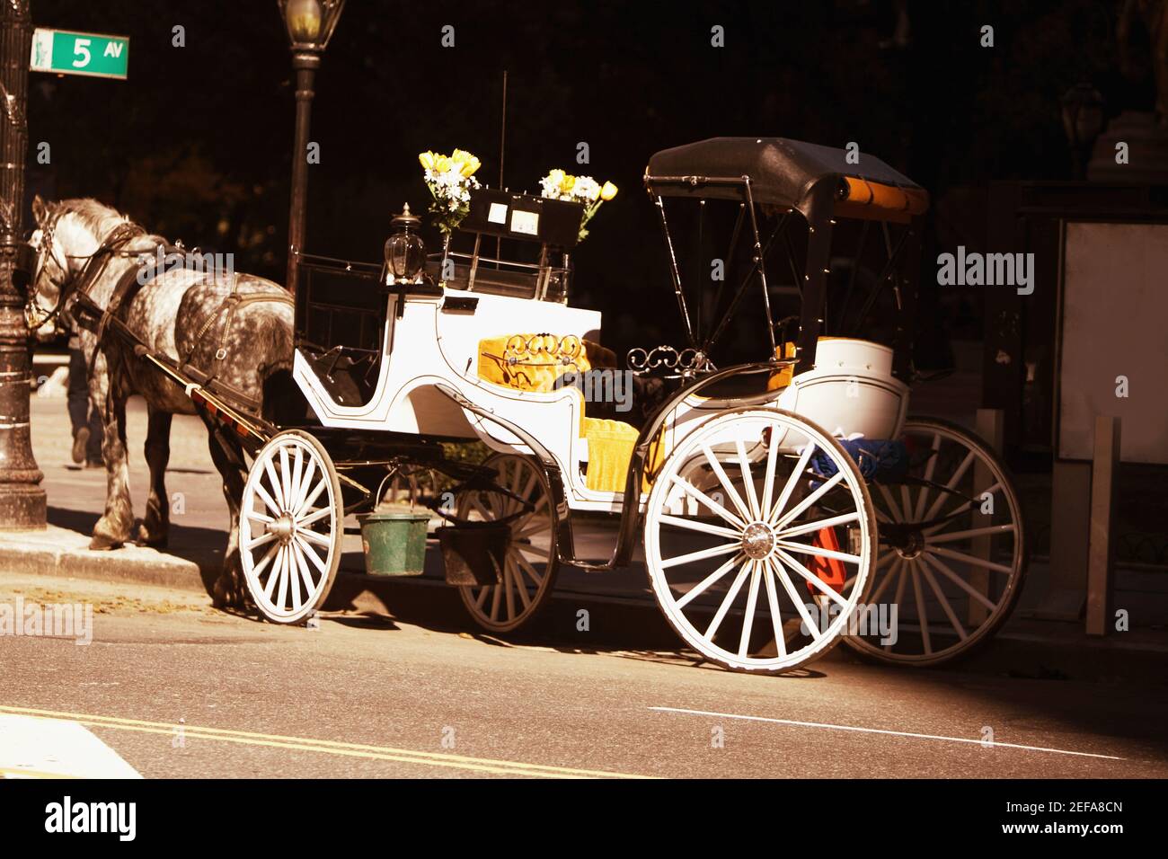 Human drawn carriage hi-res stock photography and images - Alamy