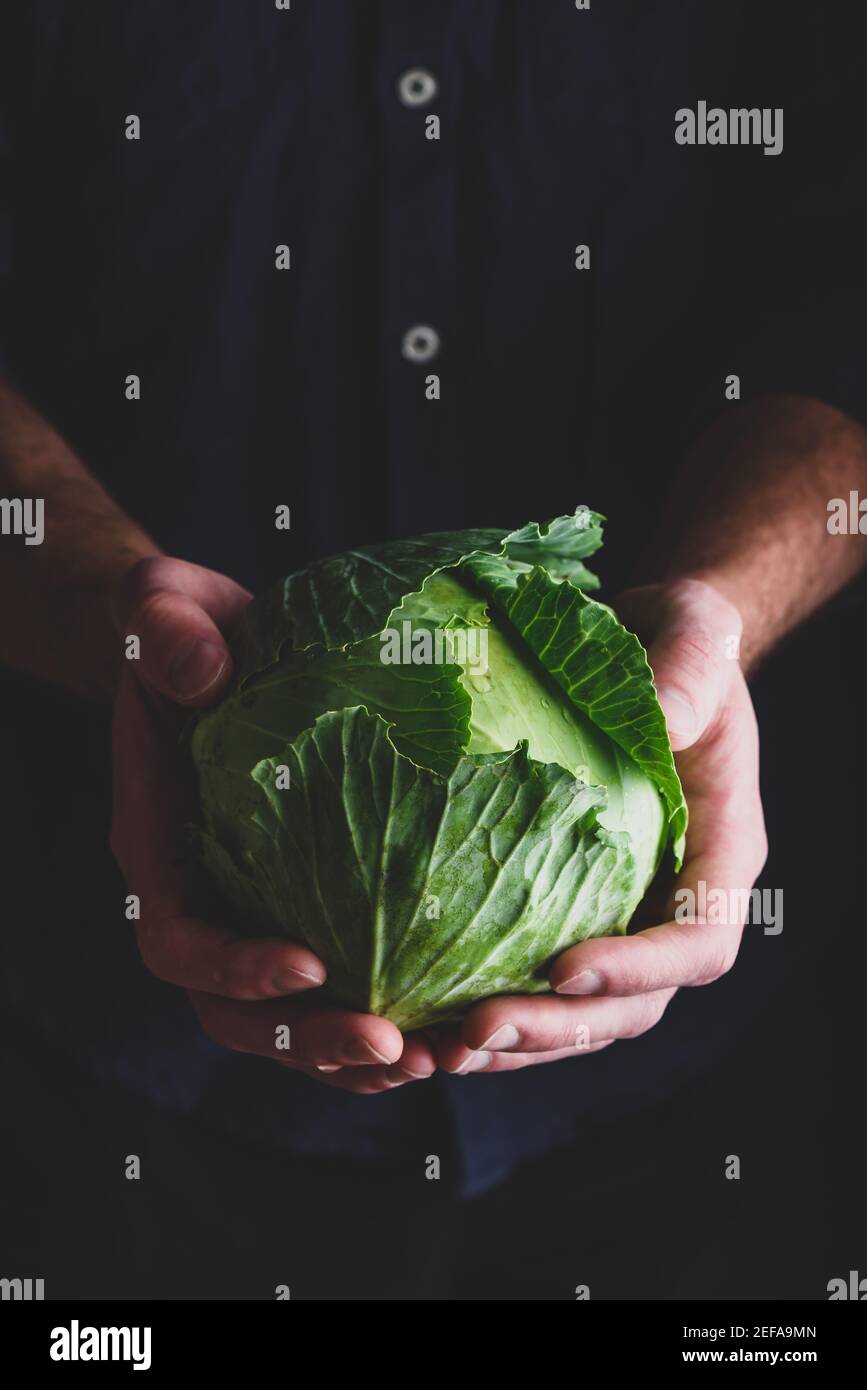 Cabbage head man hi-res stock photography and images - Alamy