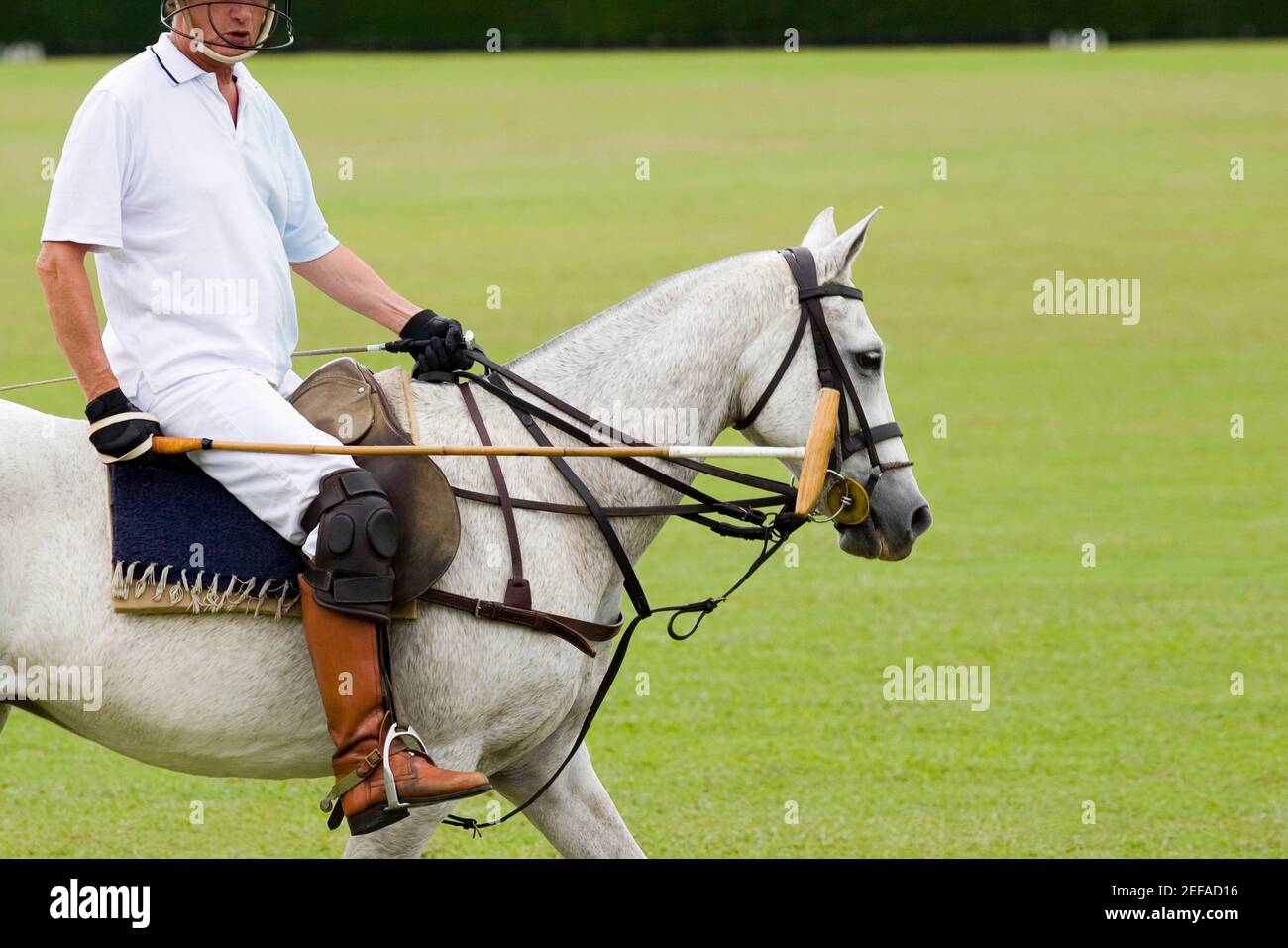 American polo field hi-res stock photography and images - Alamy