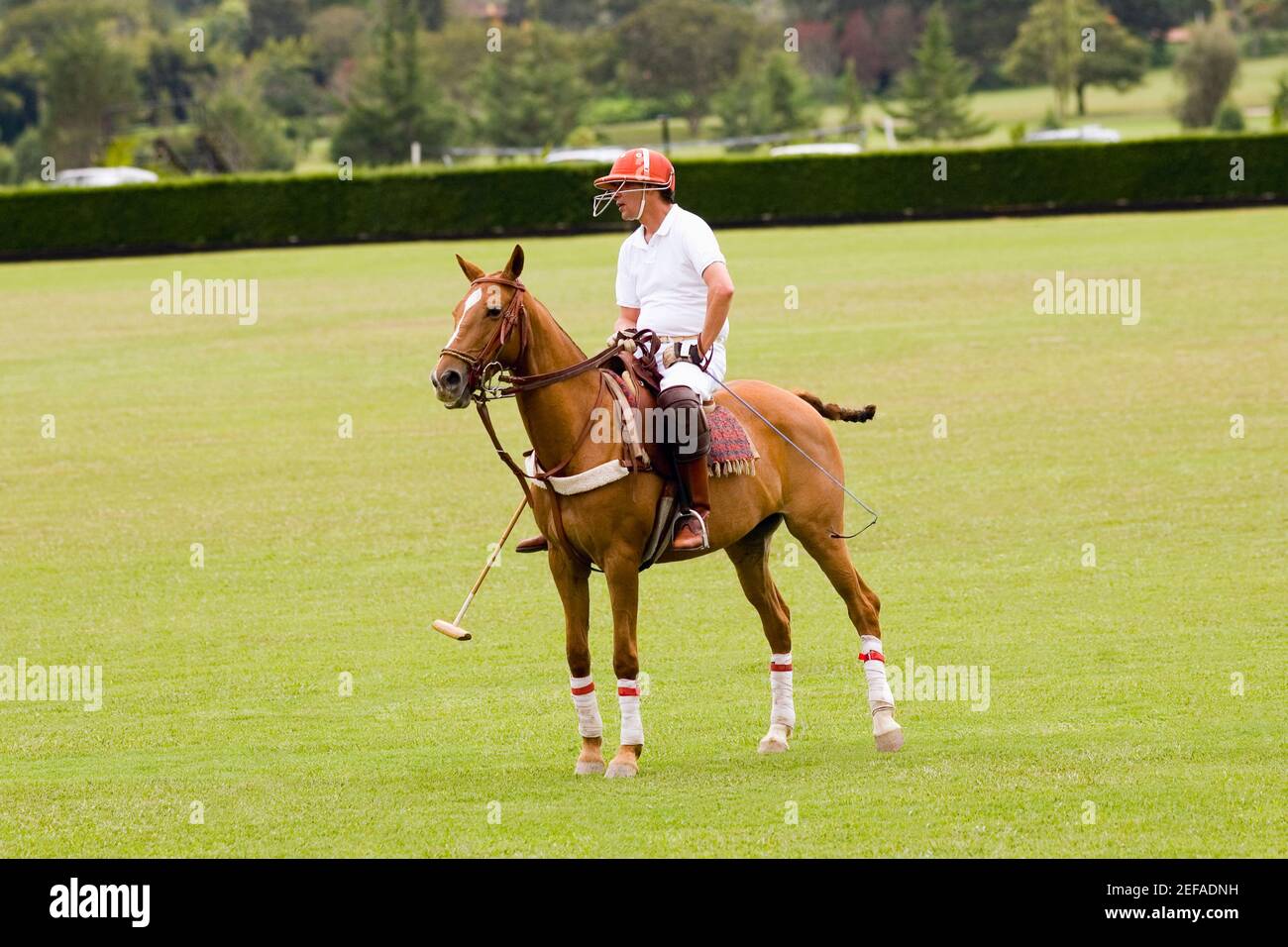 American polo field hi-res stock photography and images - Alamy