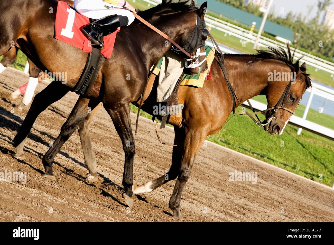 Three horses racing at a race track hi-res stock photography and images ...