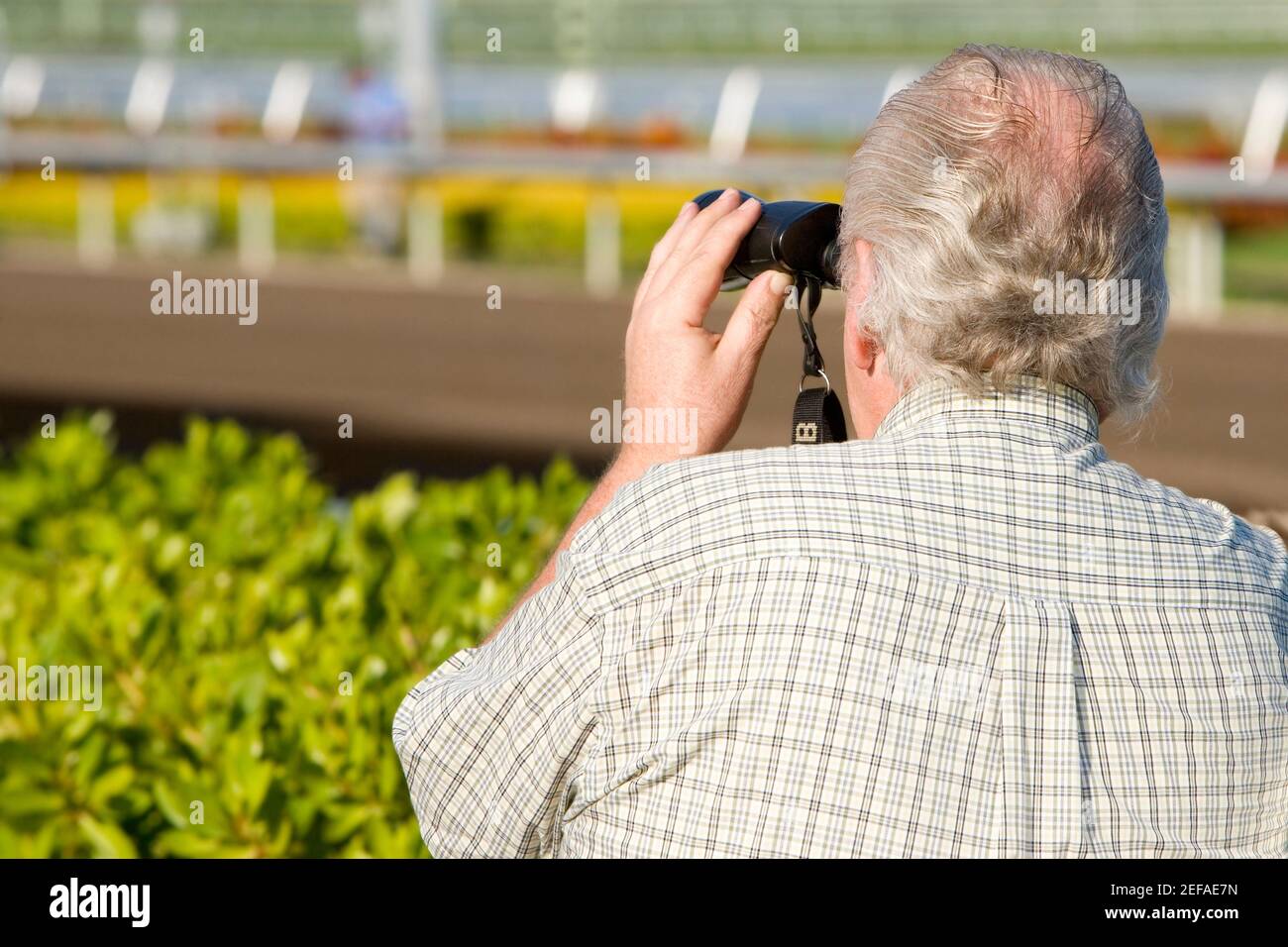 Activity spectator sport hi-res stock photography and images - Alamy
