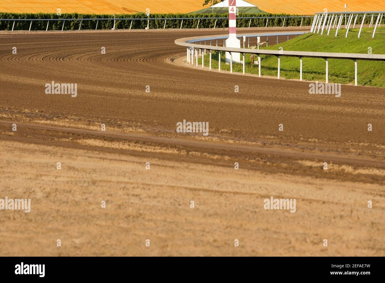 Empty horse stadium hi-res stock photography and images - Alamy