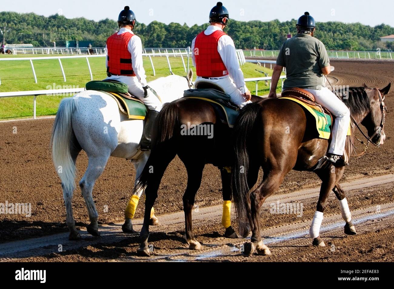 Full Length Horses Horse Racing High Resolution Stock Photography and ...