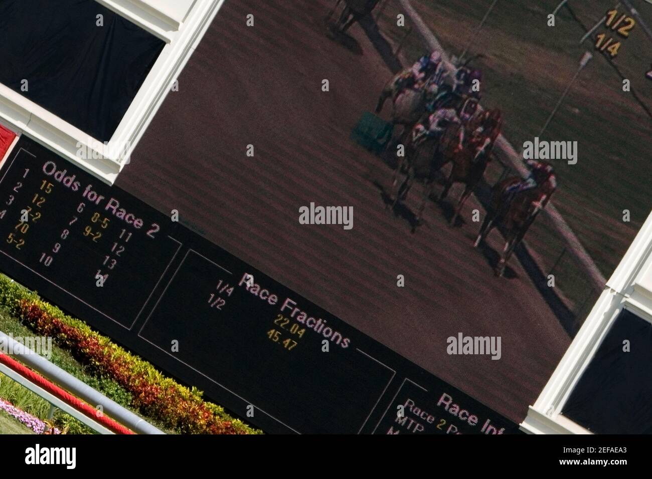 Visual screen in a horse racing stadium Stock Photo - Alamy