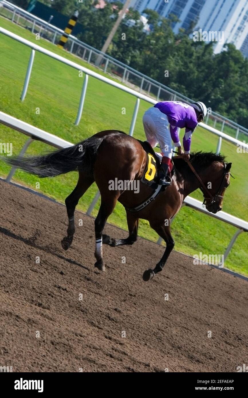Jockey riding a horse in a horse race Stock Photo - Alamy