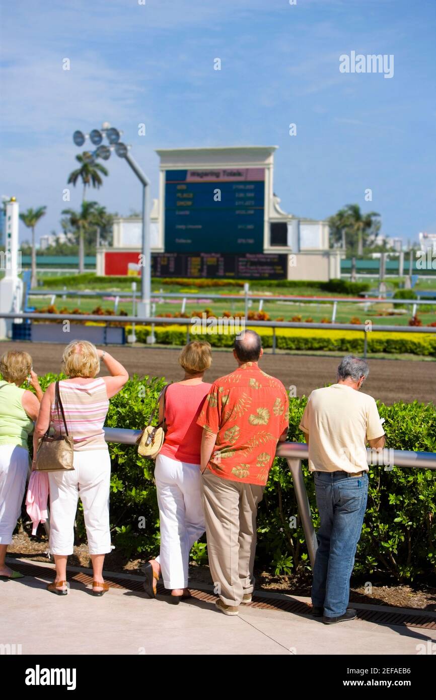 Stadium spectators rear view hi-res stock photography and images - Alamy