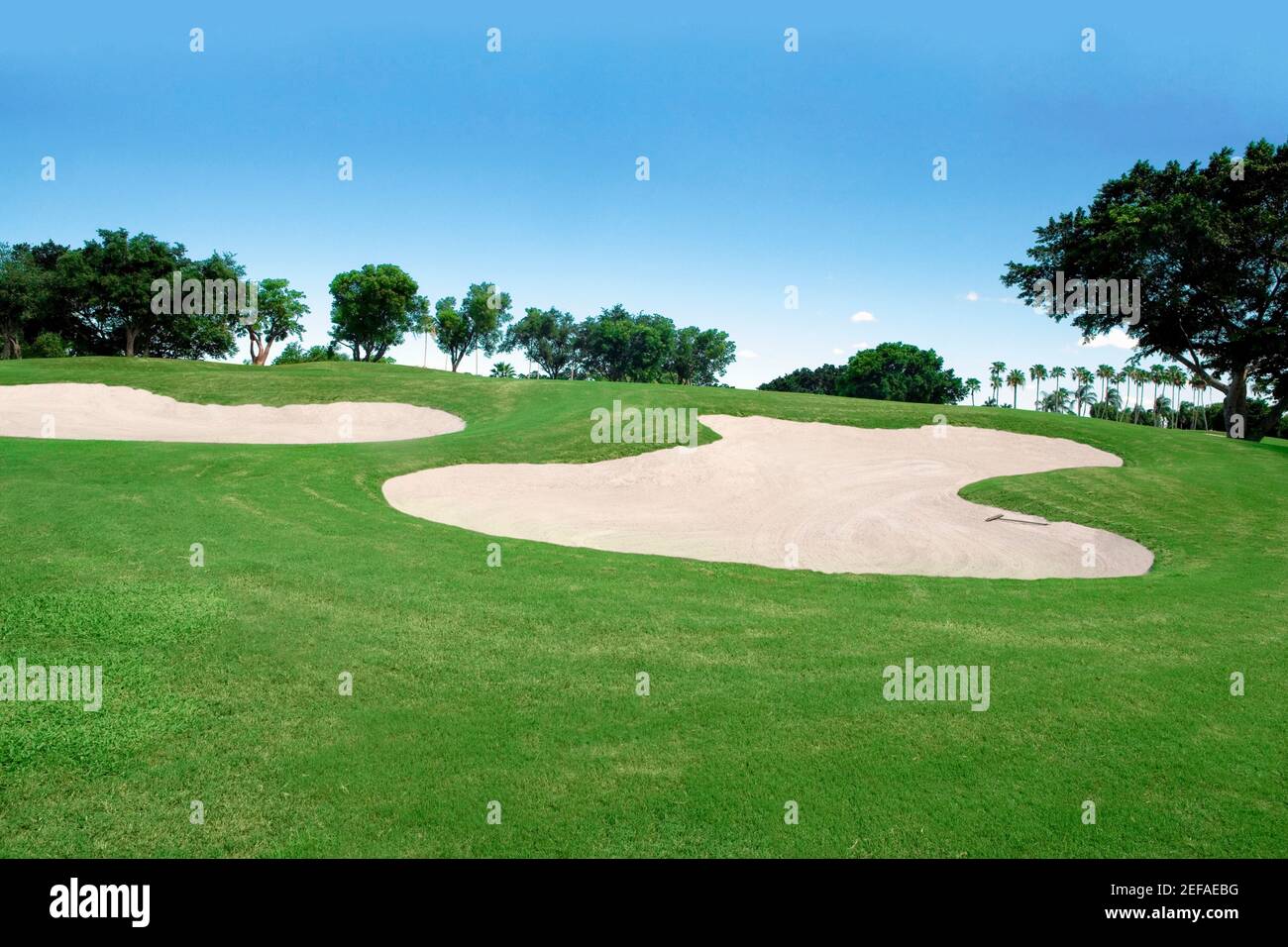 Sand traps in a golf course Stock Photo - Alamy