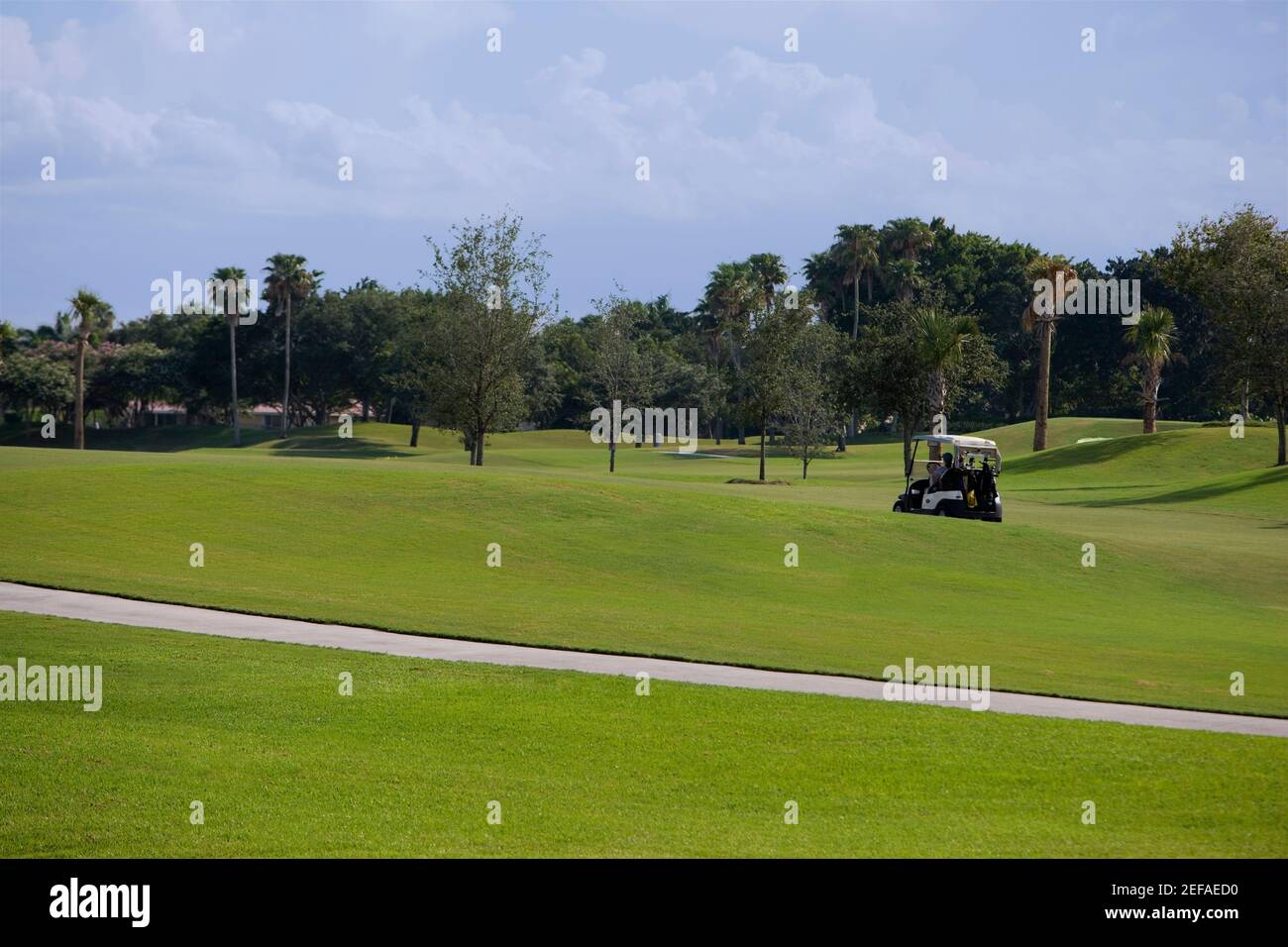 Golf cart in a golf course Stock Photo - Alamy