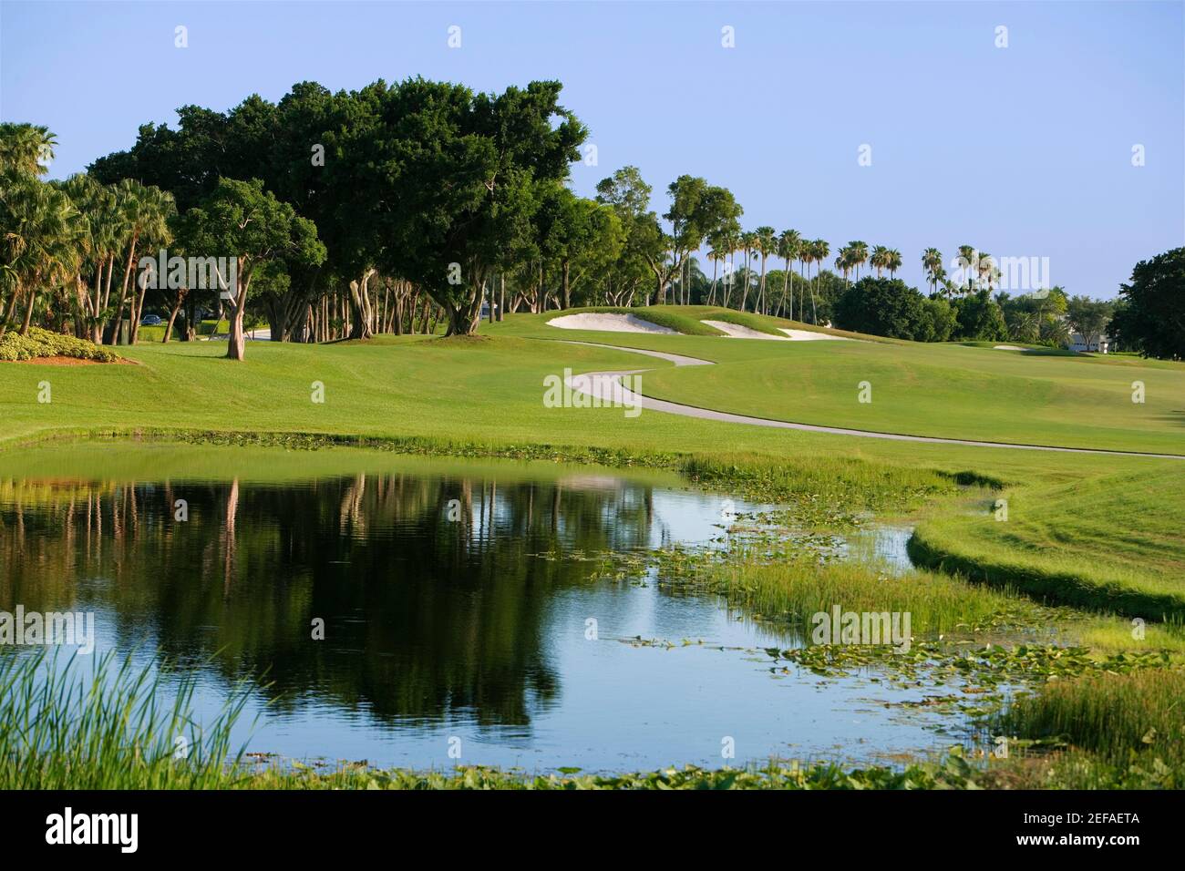 Pond in a golf course Stock Photo - Alamy