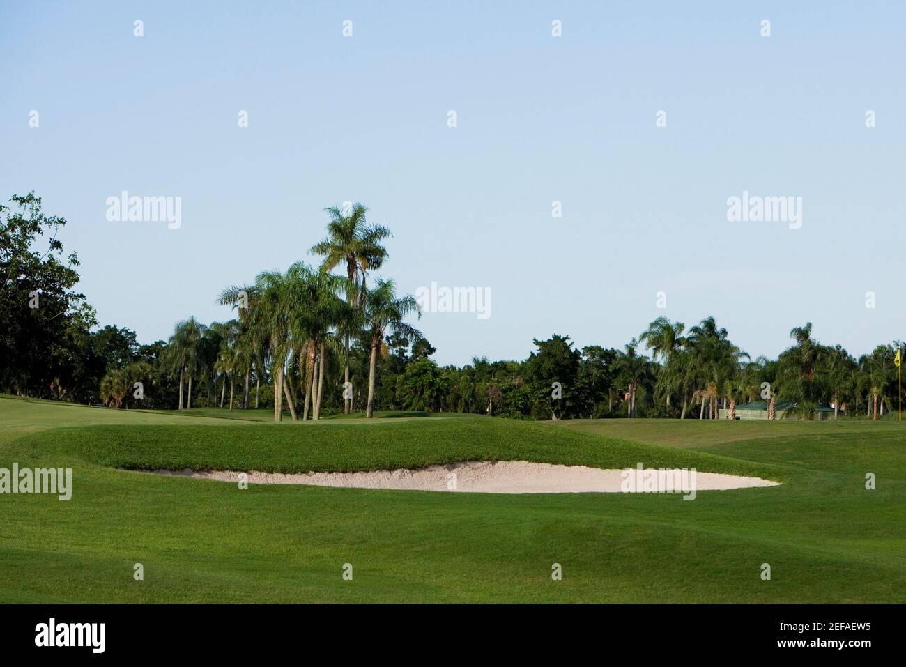 Trees in a golf course Stock Photo - Alamy