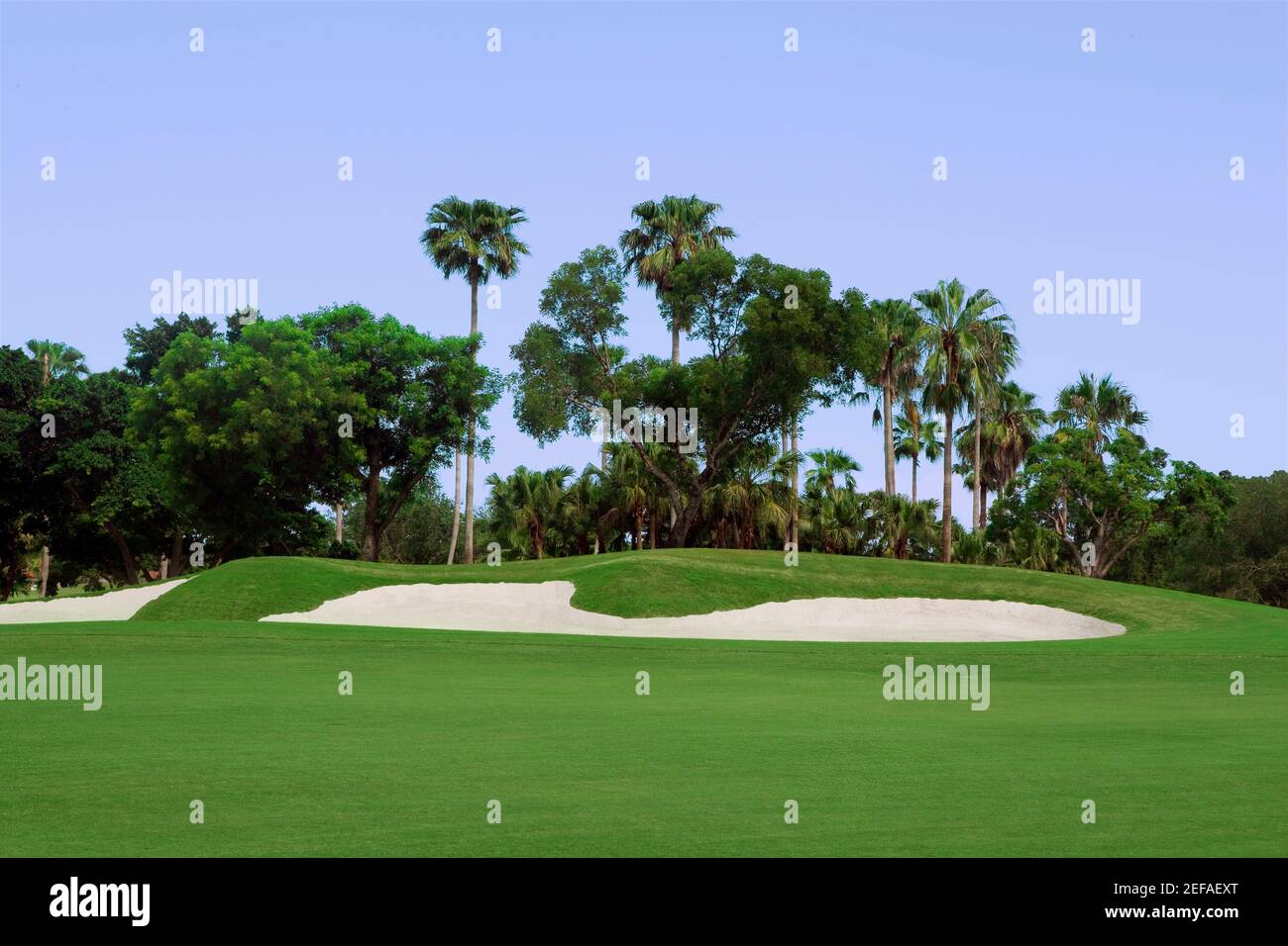 Sand trap in a golf course Stock Photo - Alamy