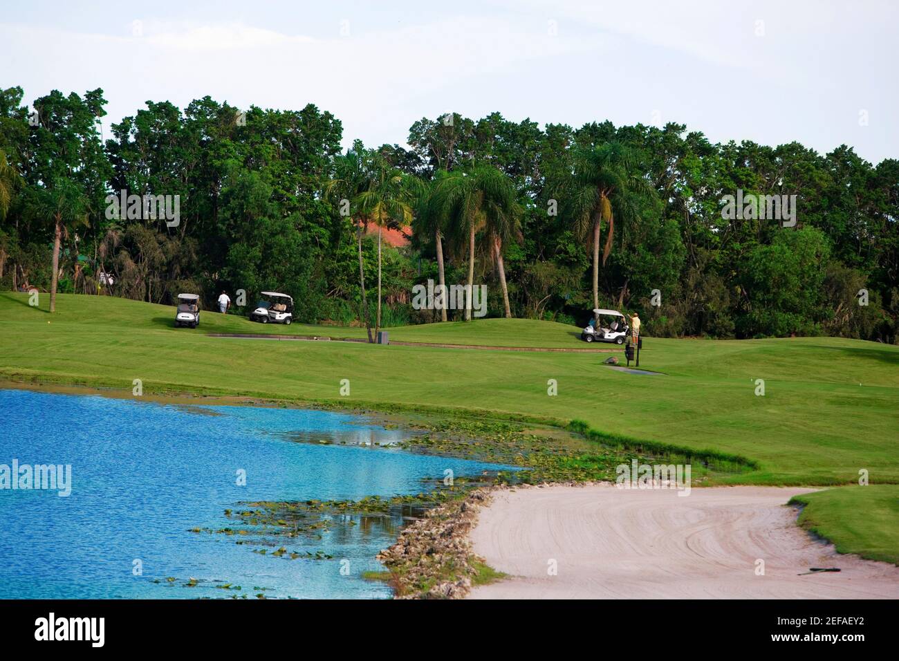 Golf carts in a golf course Stock Photo - Alamy