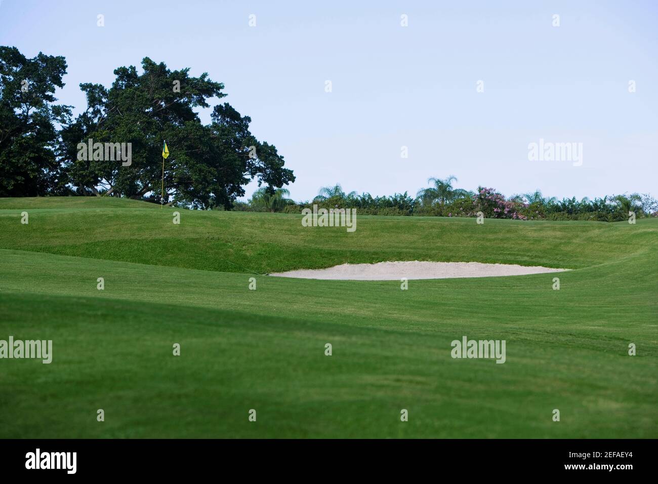 Golf flag in a golf course Stock Photo - Alamy