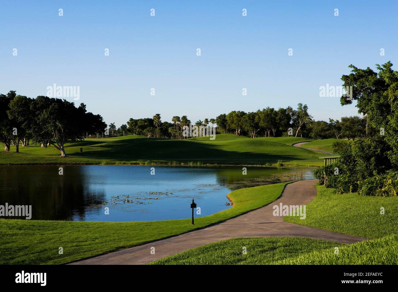 Golf field in the pond hi-res stock photography and images - Alamy