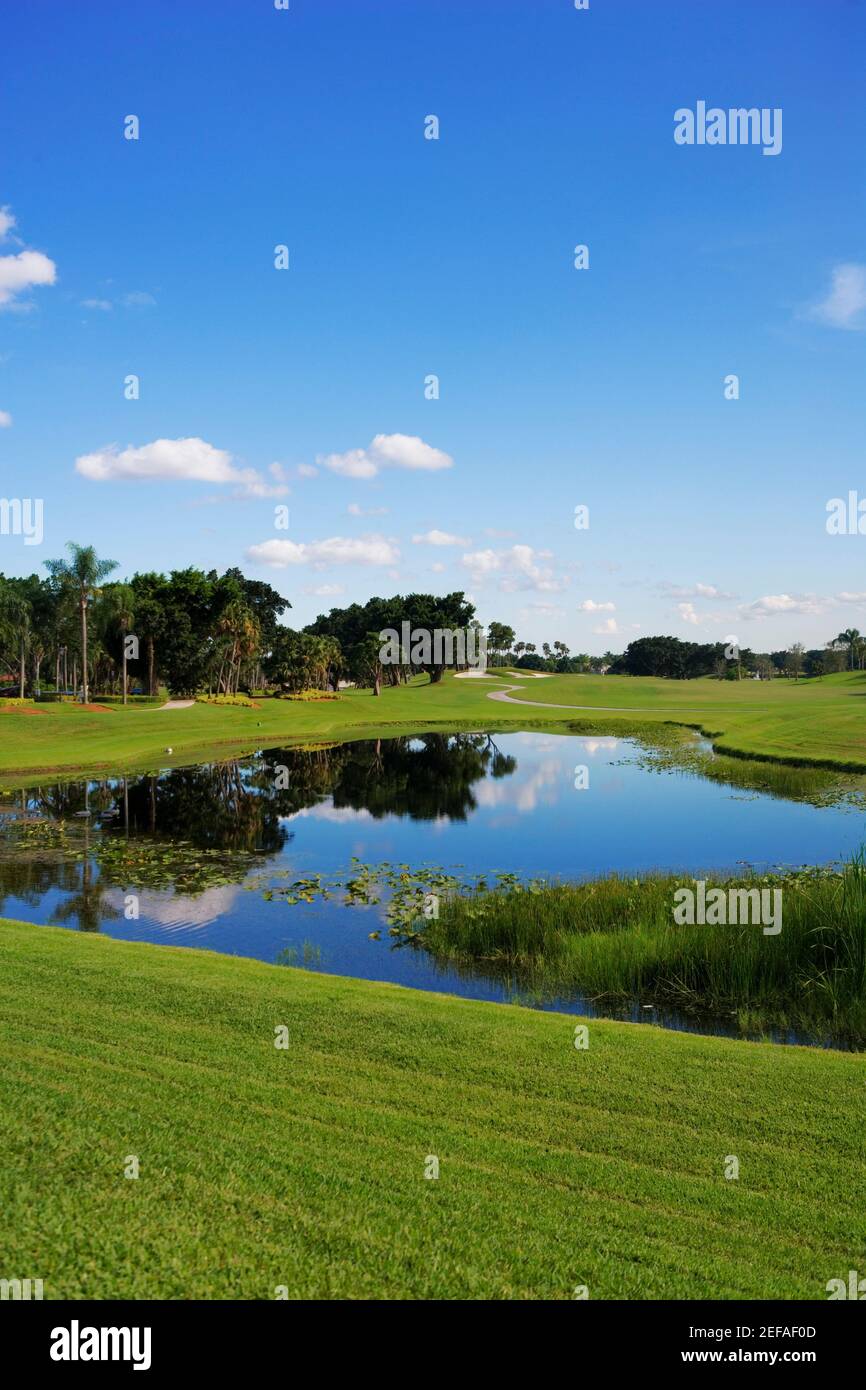 Pond in a golf course Stock Photo - Alamy