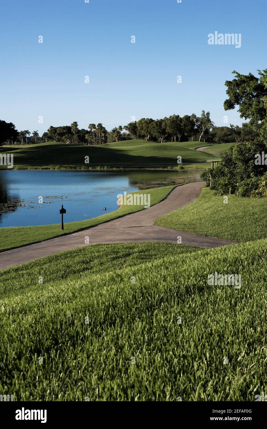 Trees in a golf course Stock Photo - Alamy