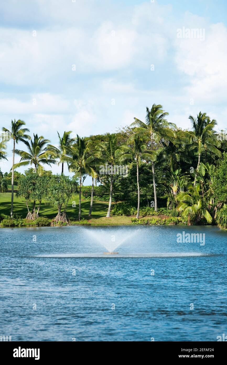 Fountain in a lake near a golf course Stock Photo - Alamy