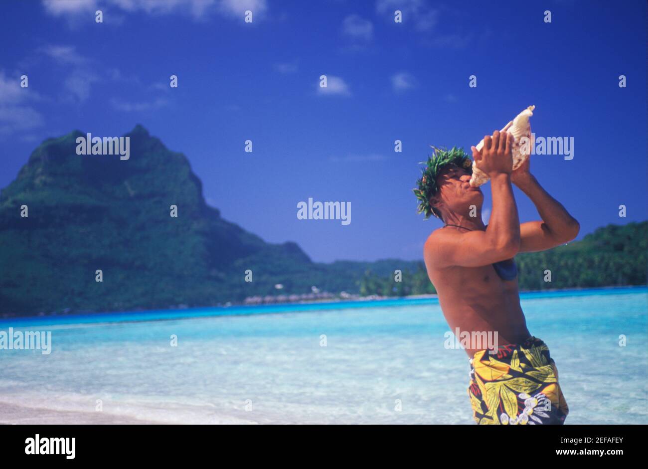 Side profile of a young man blowing a conch shell on the beach, Hawaii ...