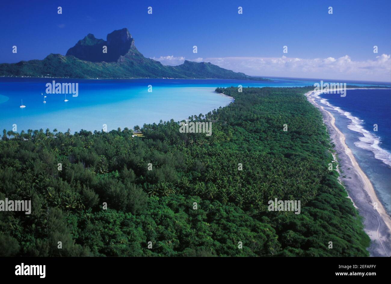 Hawaii forest from above hi-res stock photography and images - Alamy