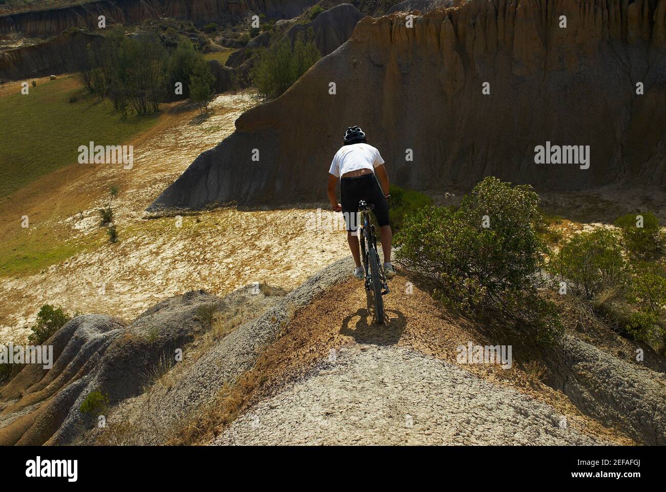 Rear view of a young man mountain biking Stock Photo - Alamy