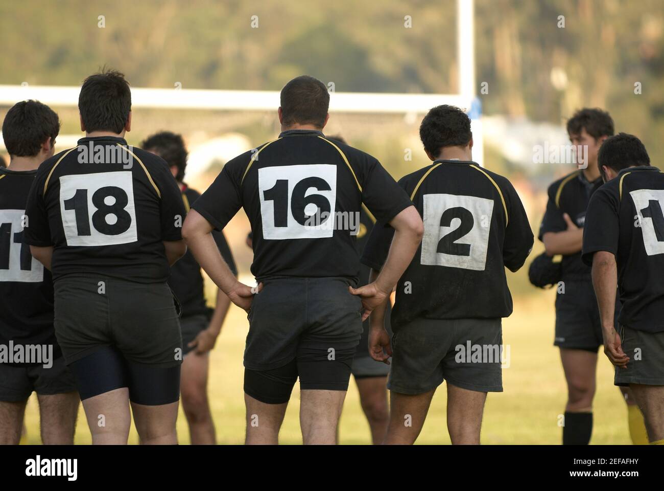 Rugby players standing together Stock Photo - Alamy