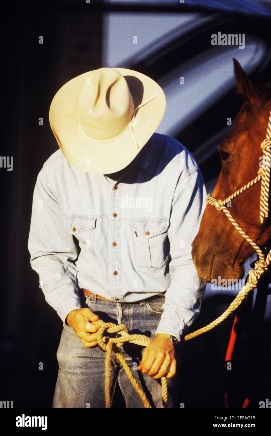 Cowboy on a horse front view hi-res stock photography and images - Alamy