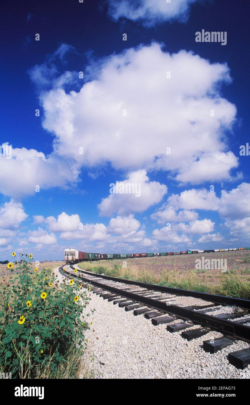 Train on a railroad track, Texas, USA Stock Photo - Alamy